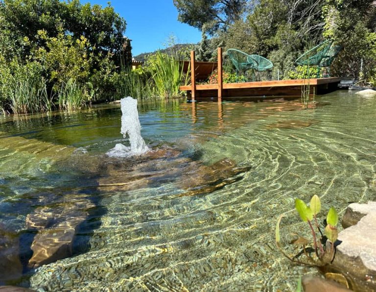 Piscinas naturales con filtración ecológica y peces